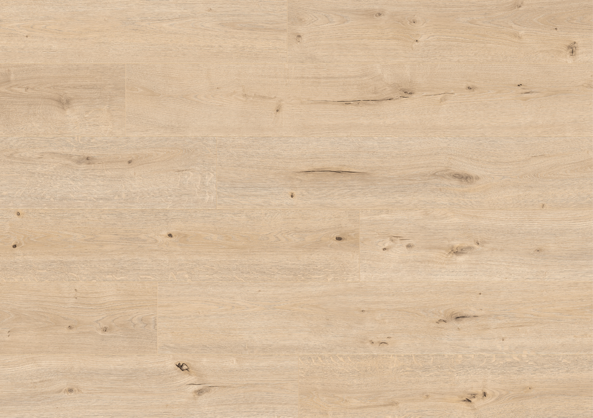 Beige Irish Oak - Wood Innovations