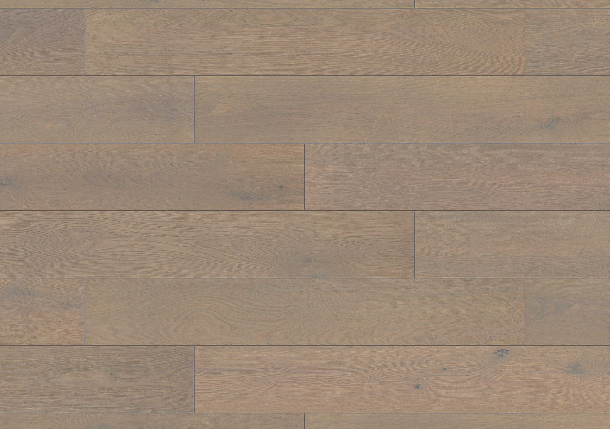 Atlantic 10mm Copper Ethereal Oak - Wood Innovations